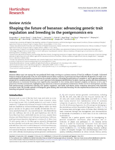 Shaping the future of bananas: advancing genetic trait regulation and ...