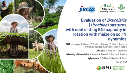 Evaluation of Brachiaria (Urochloa) pastures with contrasting BNI capacity in rotation with ...
