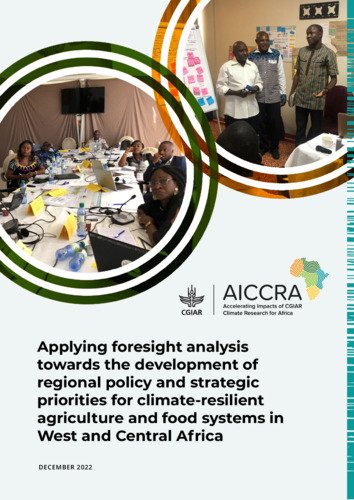 Applying foresight analysis towards the development of regional policy and strategic priorities ...