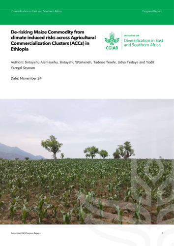 De-risking maize commodity from climate induced risks across Ethiopian Agricultural ...