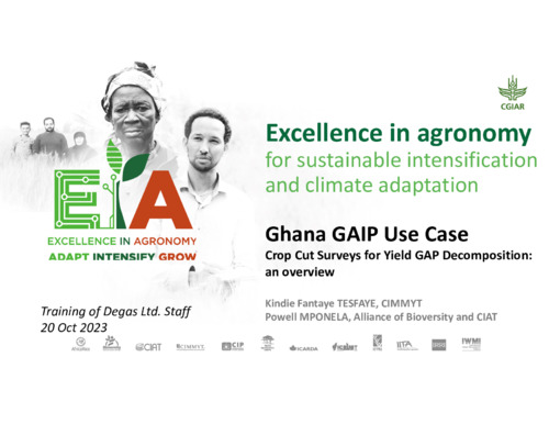 Crop cut surveys for yield GAP decomposition: An overview presentation ...