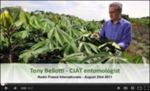 Tony Bellotti - interview, Radio France | Alliance Bioversity ...