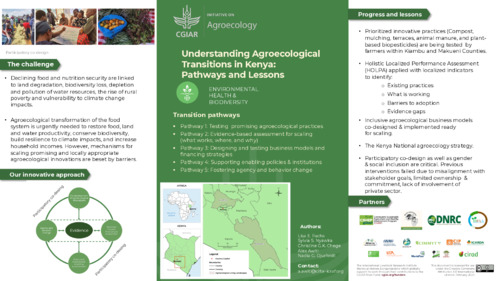 Understanding Agroecological Transitions in Kenya: Pathways and Lessons ...