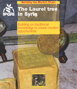 The Laurel tree in Syria: Building on traditional knowledge to create ...