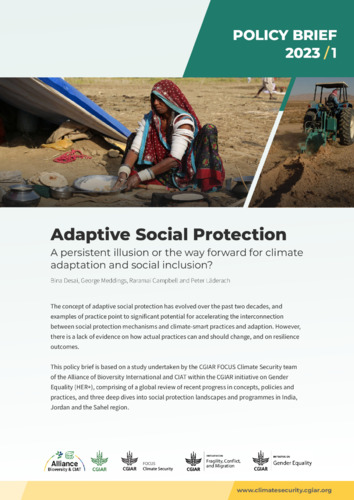 Adaptive social protection: a persistent illusion or the way forward ...