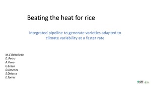 Beating the heat for rice: integrated pipeline to generate varieties ...