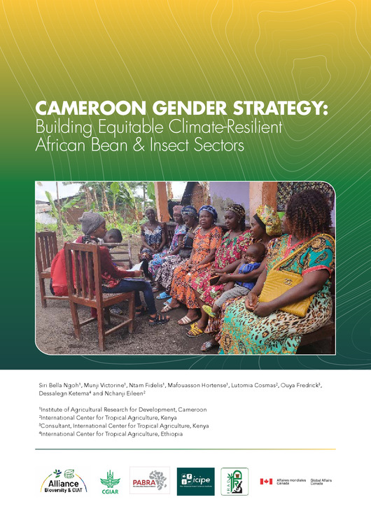 Cameroon gender strategy: Building equitable climate-resilient African ...
