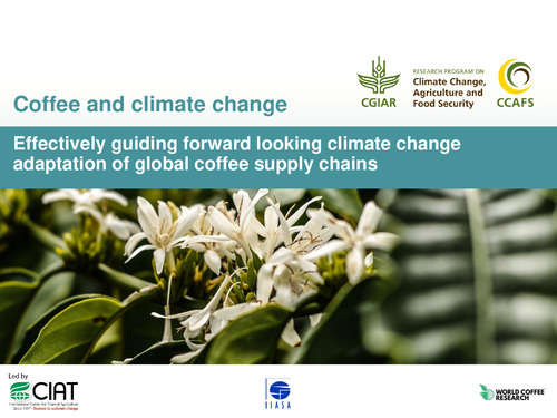 Coffee and climate change: effectively guiding forward looking climate ...