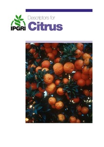 Descriptors for Citrus (Citrus spp.) | Alliance Bioversity ...