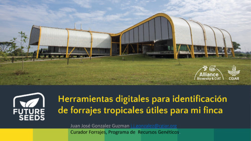 Herramientas digitales para identificación de forrajes tropicales ...