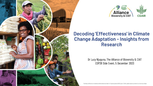 Decoding 'effectiveness' in climate change adaptation - Insights from research | Alliance ...