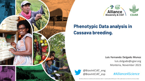 Phenotypic data analysis in cassava breeding | Alliance Bioversity ...