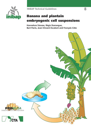 Banana and plantain embryogenic cell suspensions | Alliance Bioversity ...