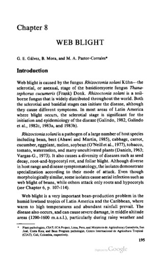 Web blight | Alliance Bioversity International - CIAT
