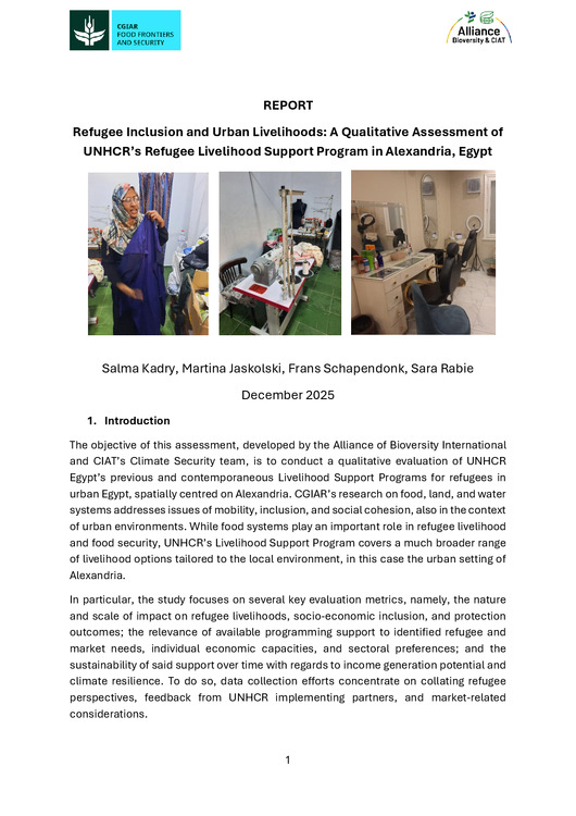 Refugee inclusion and urban livelihoods: A qualitative assessment of ...
