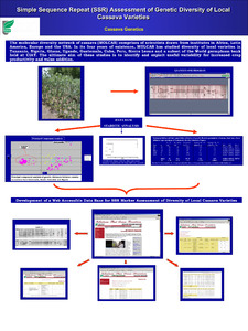 Simple Sequence Repeat (SSR) assessment of genetic diversity of local cassava varieties ...