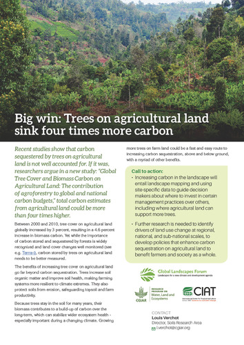 Big win: Trees on agricultural land sink four times more carbon