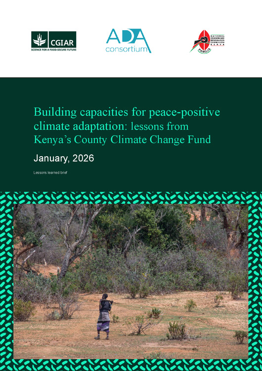 Building capacities for peace-positive climate adaptation: lessons from ...