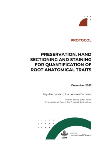 Protocol for preservation, hand sectioning and staining for ...