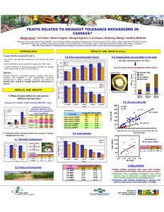 Traits related to drought tolerance mechanisms in cassava | Alliance ...