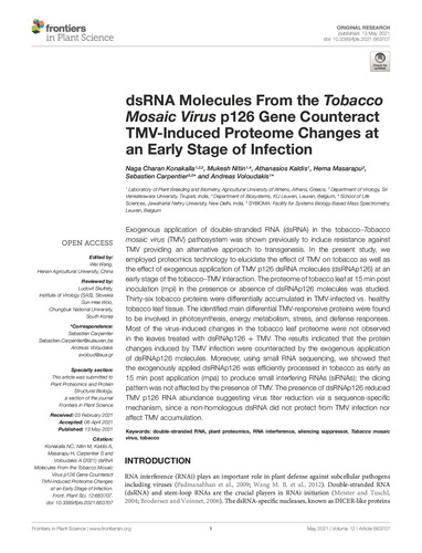 dsRNA molecules from the tobacco mosaic virus p126 gene counteract TMV ...
