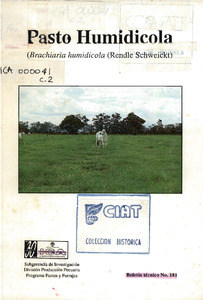 Pasto humidicola (Brachiaria humidicola (Rendle Schweickt) | Alliance ...