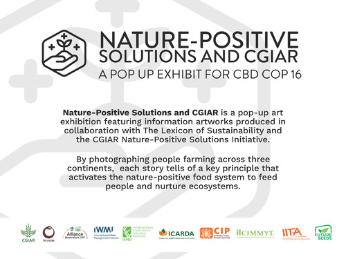 Nature-Positive Solutions and CGIAR: A pop up exhibit | Alliance ...