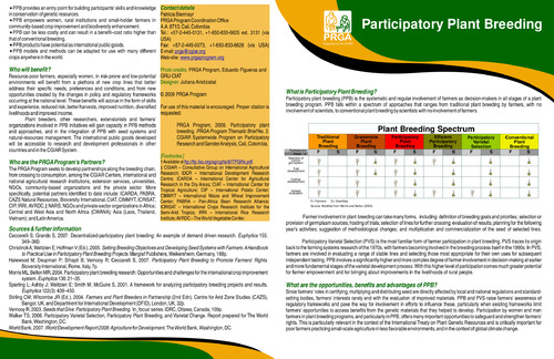 Participatory plant breeding | Alliance Bioversity International - CIAT