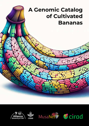 A genomic catalog of cultivated bananas | Alliance Bioversity ...