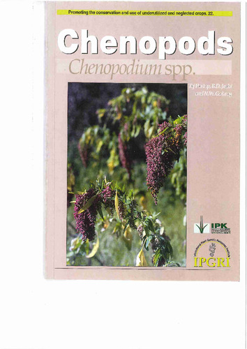 Chenopods, Chenopodium spp. | Alliance Bioversity International - CIAT