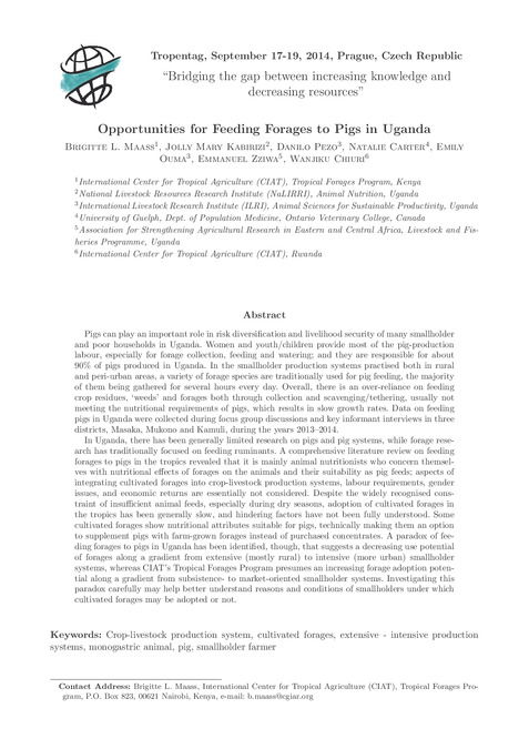 Opportunities for feeding forages to pigs in Uganda | Alliance ...
