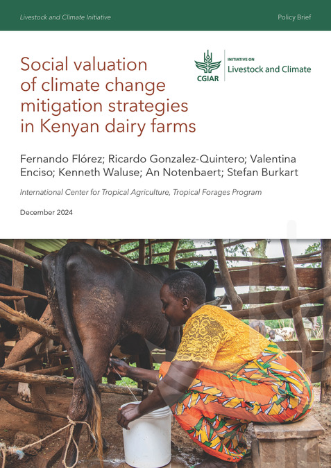 Social valuation of climate change mitigation strategies in Kenyan ...