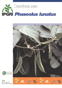 Descritores para Phaseolus lunatus | Alliance Bioversity International ...
