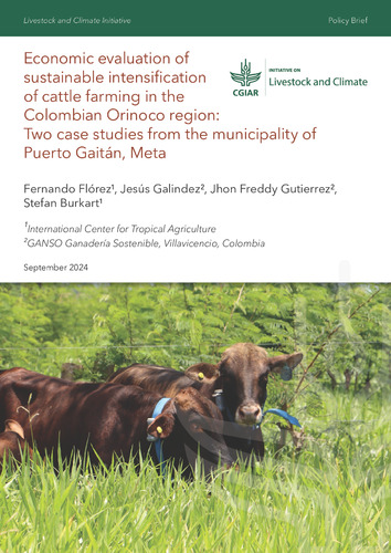 Economic evaluation of sustainable intensification of cattle farming in the Colombian Orinoco ...