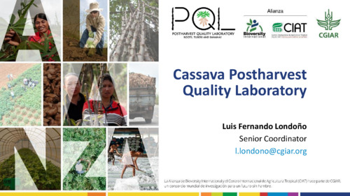 Cassava Postharvest Quality Laboratory | Alliance Bioversity ...