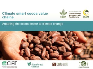 Climate smart cocoa value chains: Adapting the cocoa sector to climate ...
