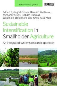 Does sustainable intensification offer a pathway to improved food ...