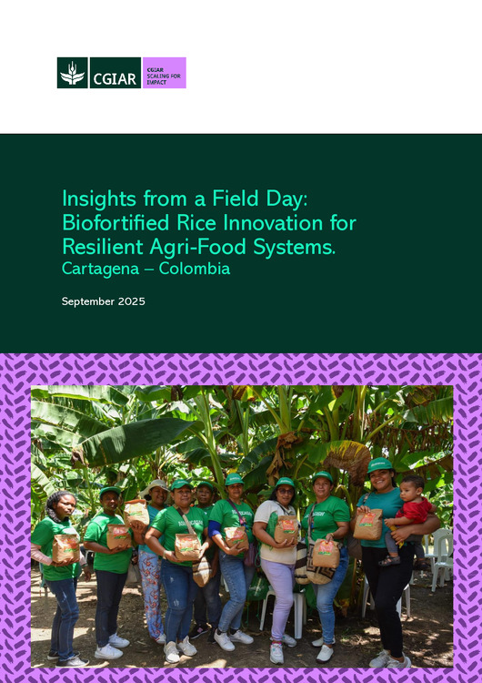 Insights from a field day: Biofortified rice innovation for resilient ...