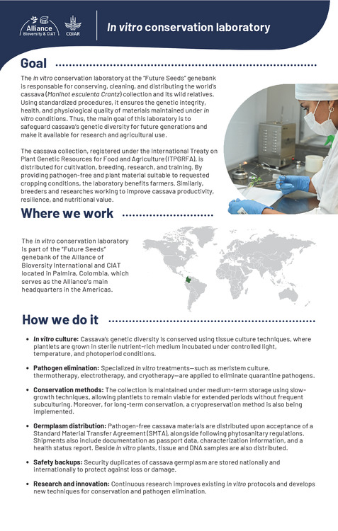 In vitro conservation laboratory | Alliance Bioversity International - CIAT