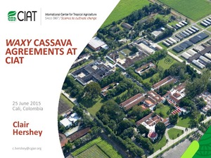 Waxy Cassava agreements at CIAT | Alliance Bioversity International - CIAT