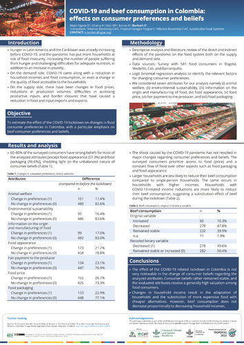 COVID-19 and beef consumption in Colombia: Effects on consumer ...