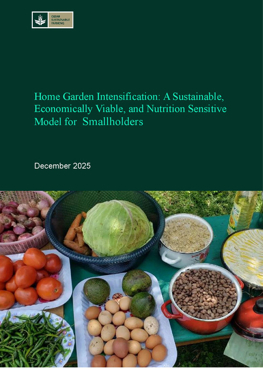 Home garden intensification: A sustainable, economically viable, and ...
