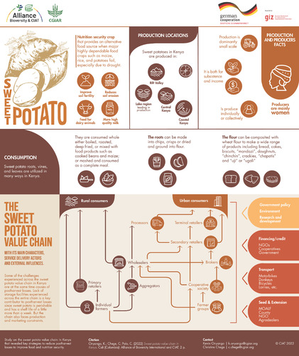 Sweet potato value chain in Kenya | Alliance Bioversity International ...