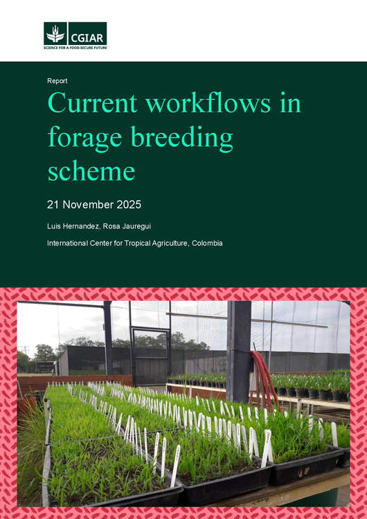 Current workflows in forage breeding scheme | Alliance Bioversity ...