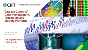 Cassava Genetics’ data management, processing