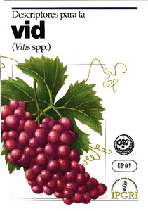 Descriptores para la vid (Vitis spp.) | Alliance Bioversity ...