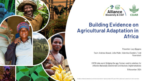 Building evidence on agricultural adaptation in Africa | Alliance ...