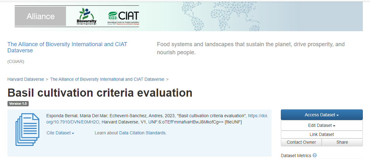Basil cultivation criteria evaluation | Alliance Bioversity ...