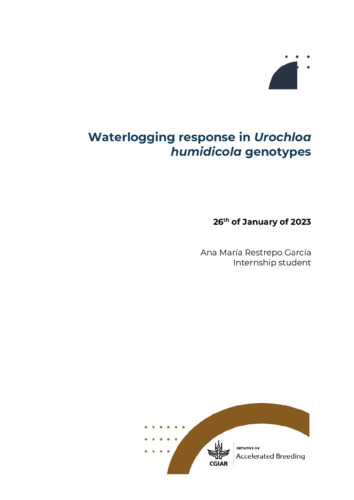 Waterlogging response in Urochloa humidicola genotypes | Alliance ...