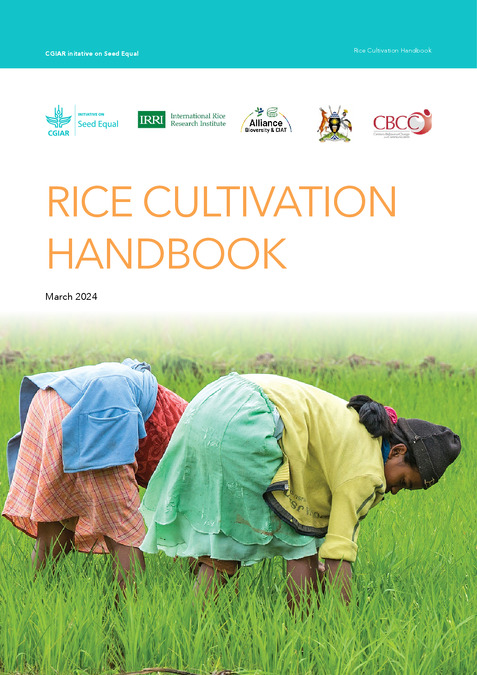 Rice cultivation handbook | Alliance Bioversity International - CIAT